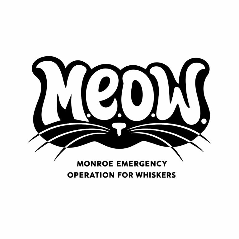 MEOW to reduce Monroe’s feral cat population, find loving homes | The ...
